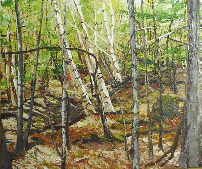 Price floors and ceilings