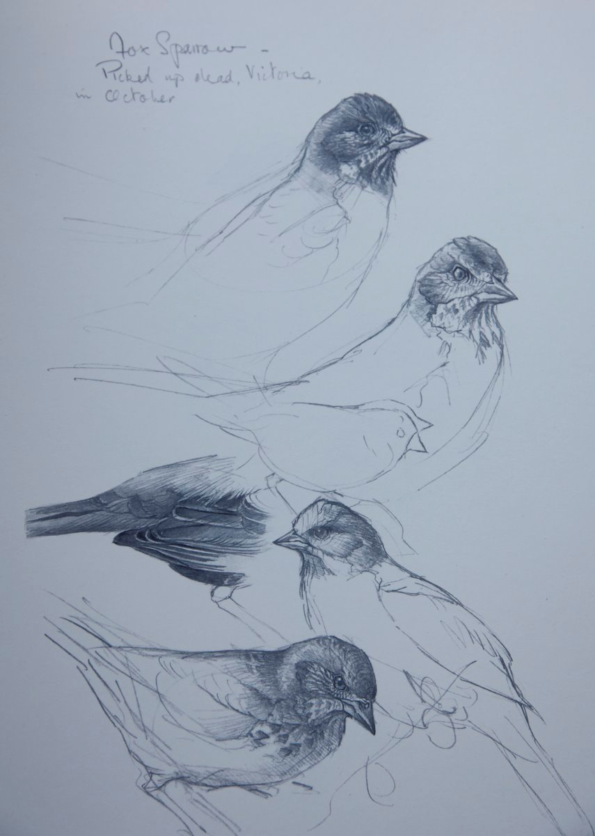 Drawing for understanding