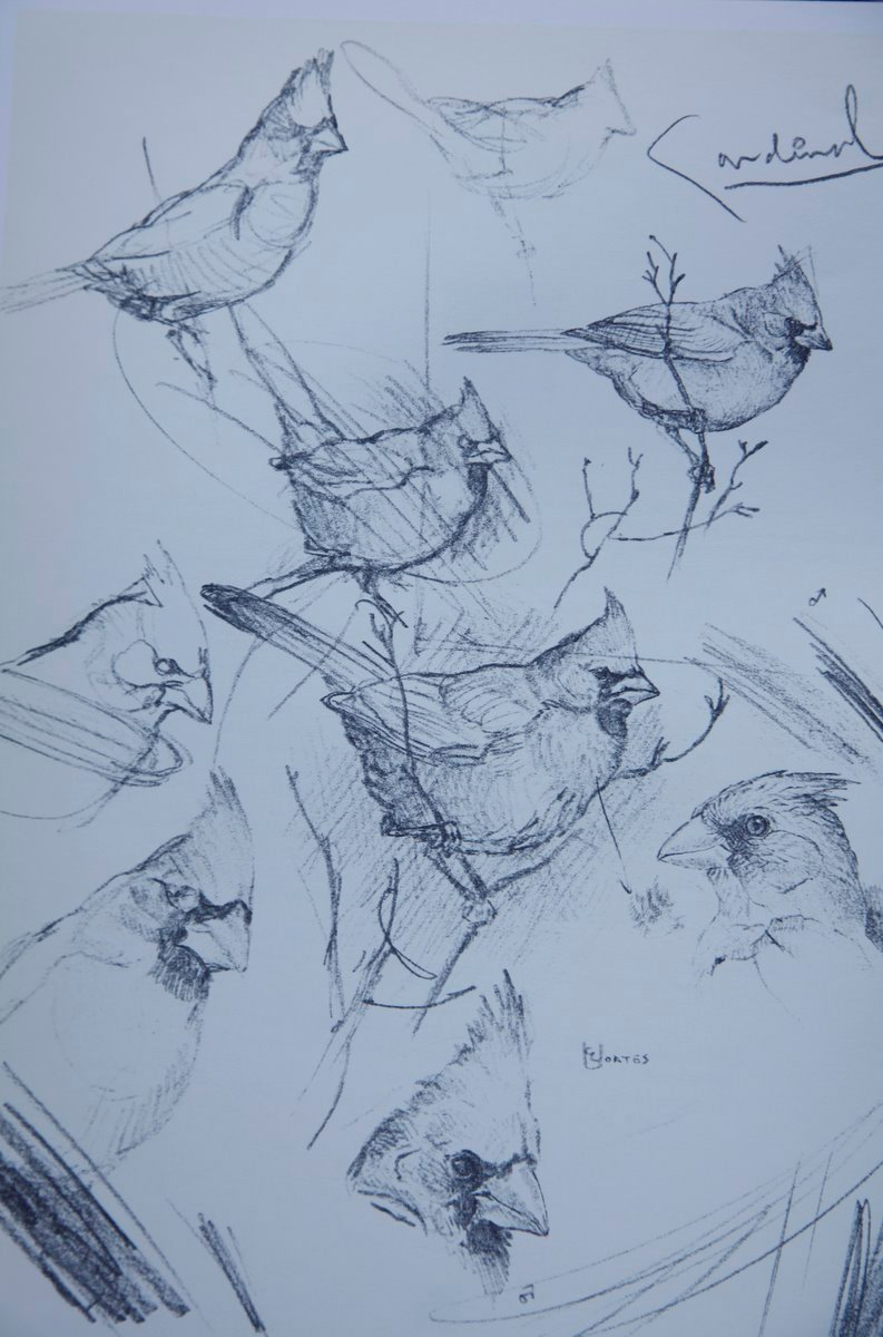 Drawing for understanding