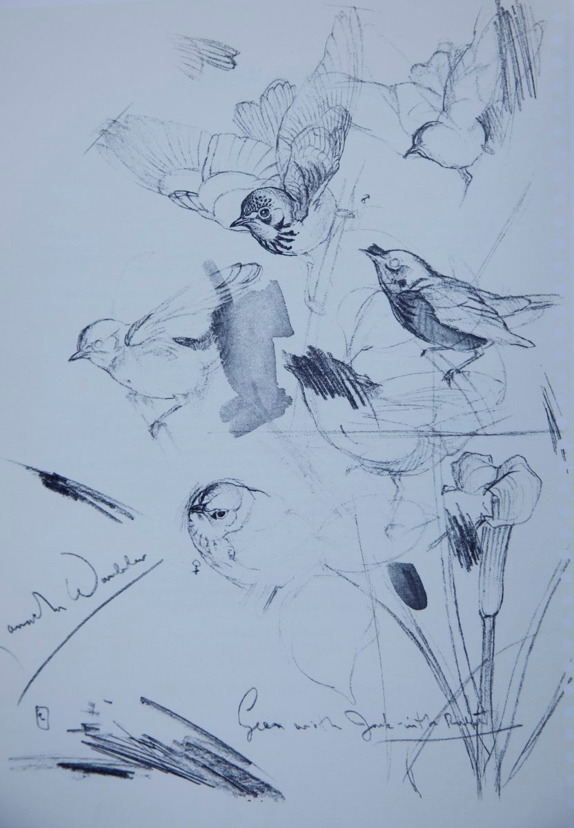 Drawing for understanding