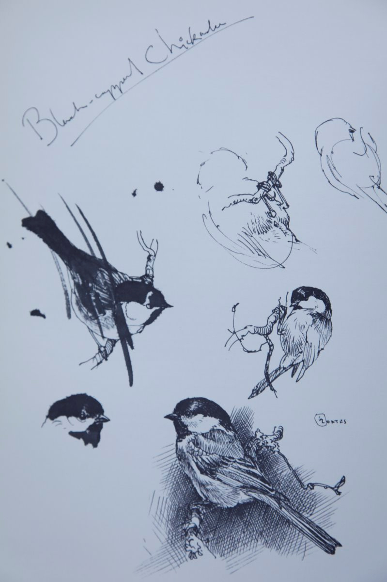 Drawing for understanding