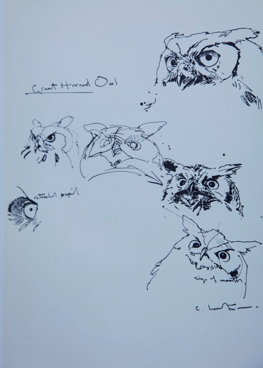 Drawing for understanding