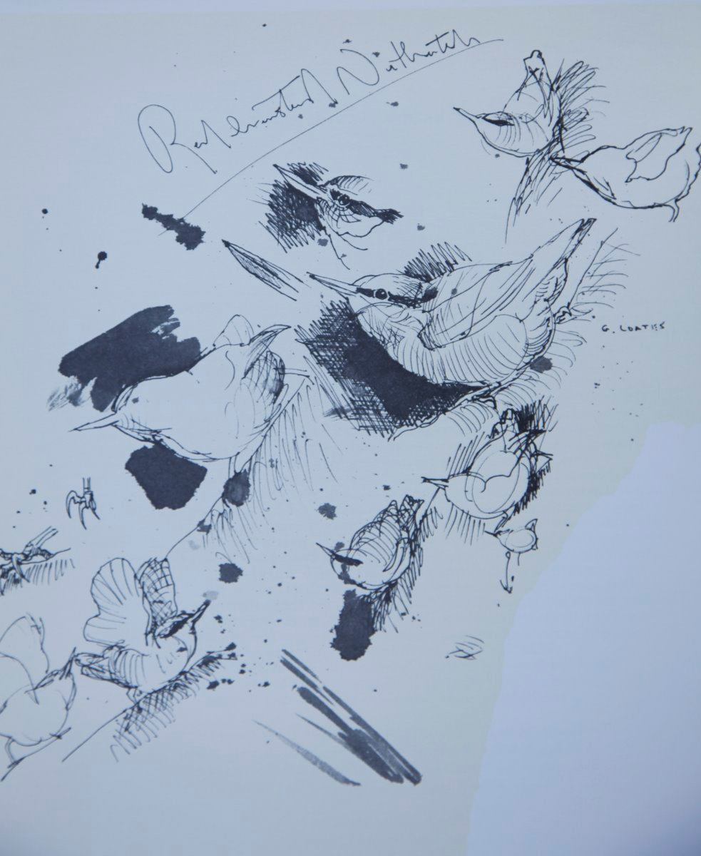 Drawing for understanding