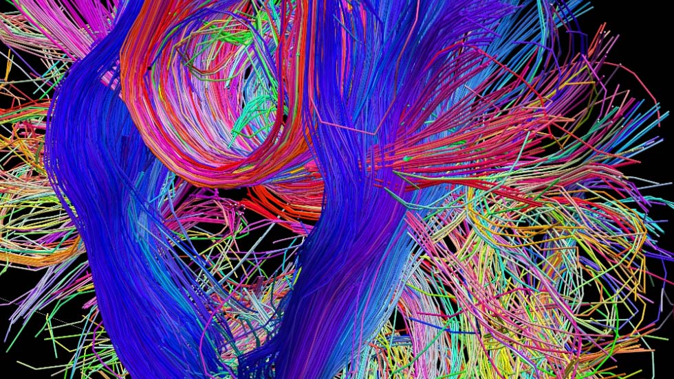 Your brain on art - The Painters Keys